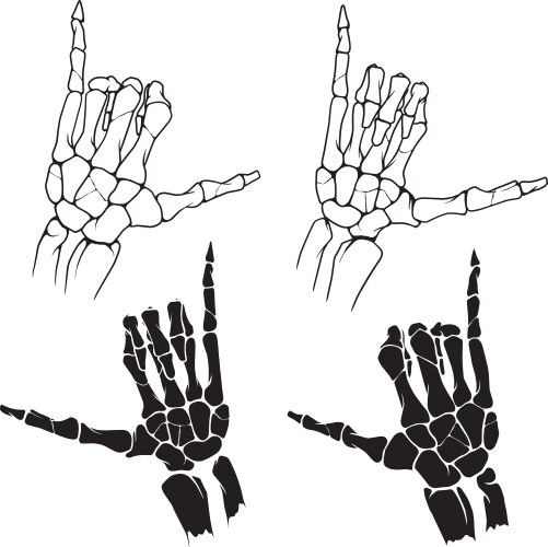 Sign hand ok skeleton Royalty Free Vector Image