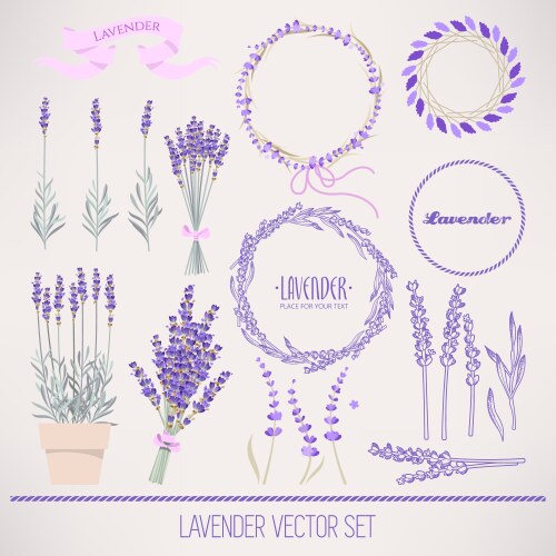 Lavender Vector Images (over 20,000)