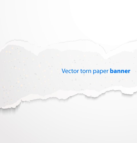 White rectangular torn paper tear Royalty Free Vector Image