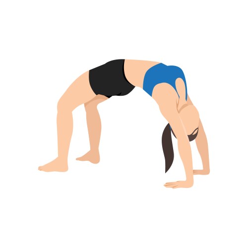 Dhanurasana Bow Pose Yoga Royalty Free Vector Vectorstock