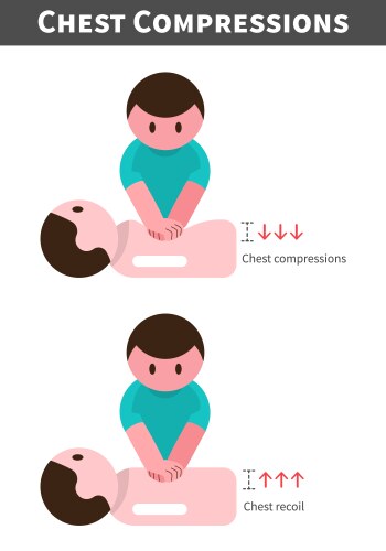Cpr cardiopulmonary resuscitation guideline Vector Image