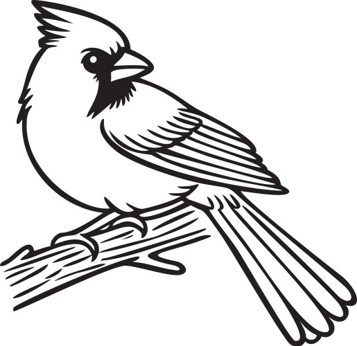Cardinal Line Drawing Vector Images (over 410)
