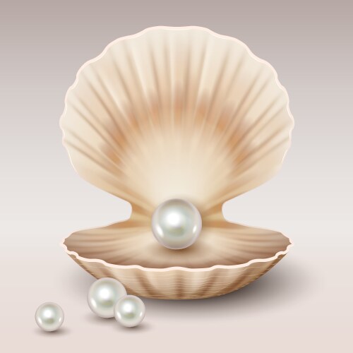 Open beautiful seashell with a precious pearl Vector Image