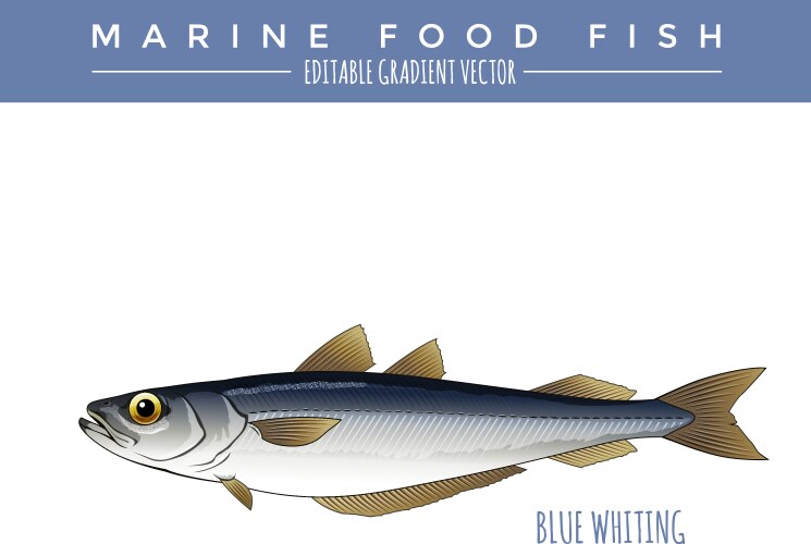 Crab marine food fish Royalty Free Vector Image