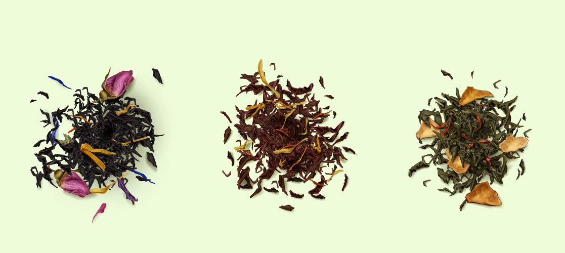 Tea leaves Vector Images & Graphics for Commercial Use | VectorStock