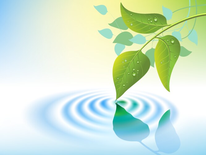 Water Ripple Vector Images (over 22,000)