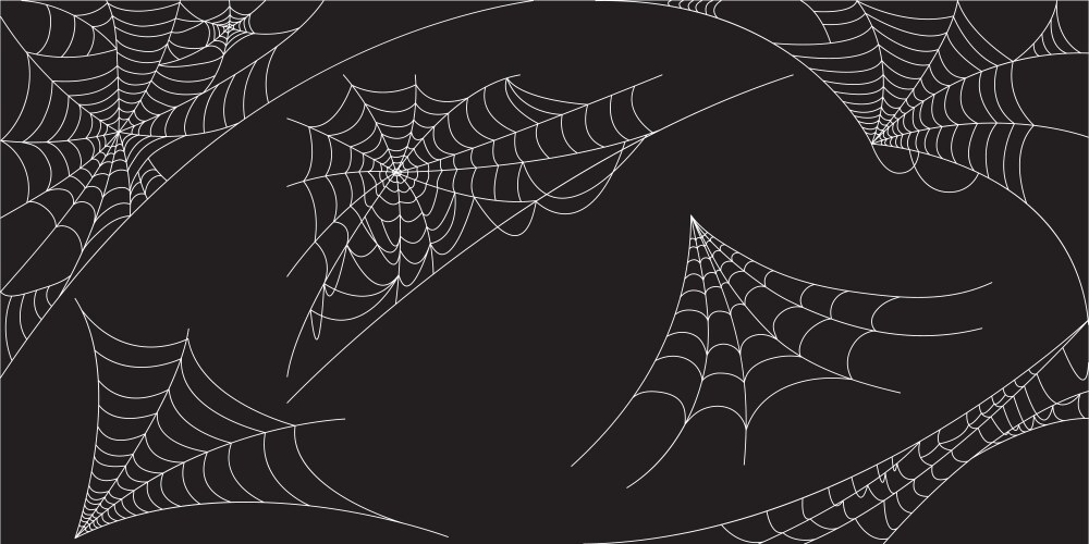 Corner cobweb isolated on black transparent Vector Image
