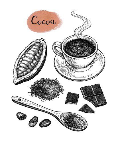 Hand drawn sketch cocoa chocolate product set Vector Image