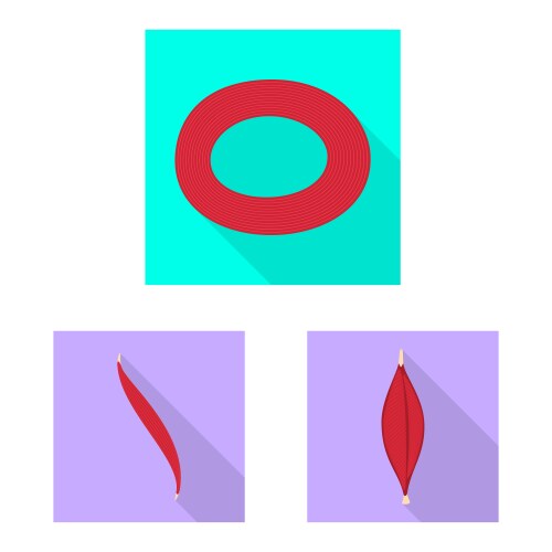 Deltoid Muscle Vector Images (over 1,100)