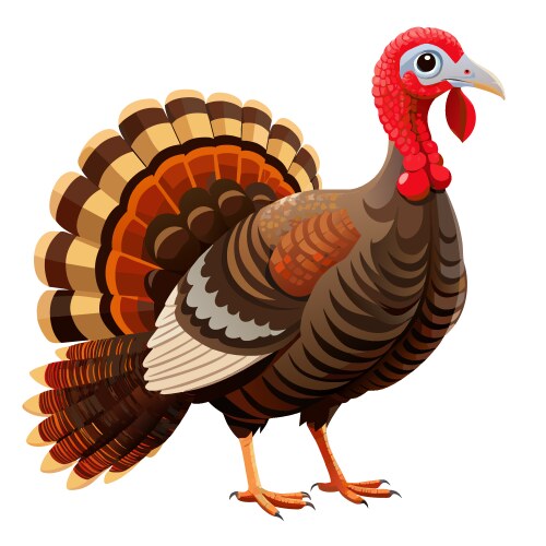 Tom Turkey Vector Images (over 240)