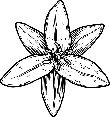 Water Lily Tattoo Vector Images (over 970)