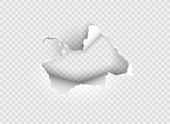 Torn ripped paper hole on transparent background Vector Image