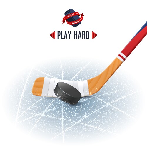 Set of hockey stick puck and gate Royalty Free Vector Image