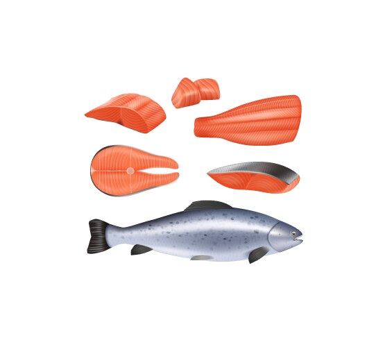 Realistic salmon set Royalty Free Vector Image