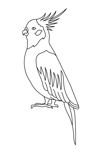Parrot Outline Vector Images (over 5,000)