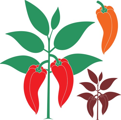 Pepper Vector Images (over 120,000)