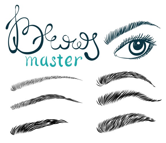 Brows Vector Images (over 8,100)