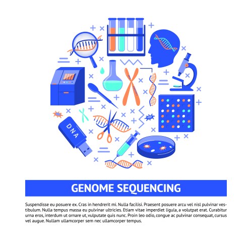 Infographics genome sequencing stages flat Vector Image