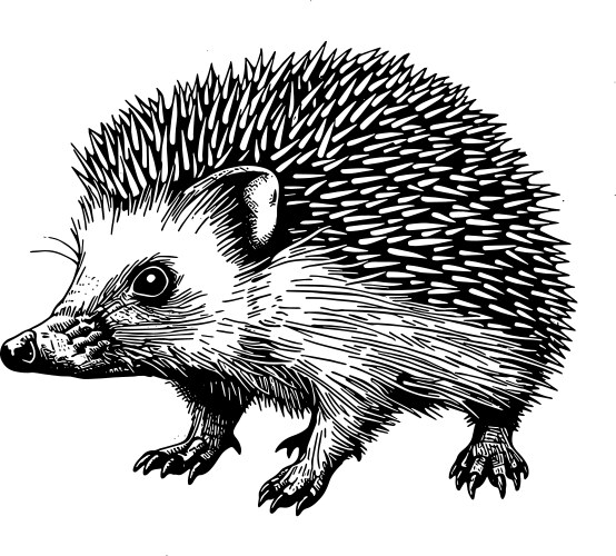 Hedgehog Clipart Vector Images (over 1,100)