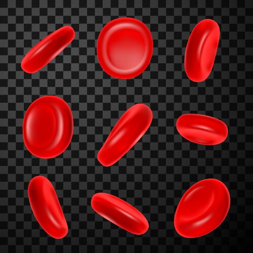 Red cells in bloodstream 3d realistic Royalty Free Vector