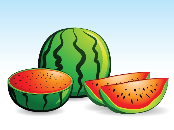 Watermelon Vector Images (over 73,000)