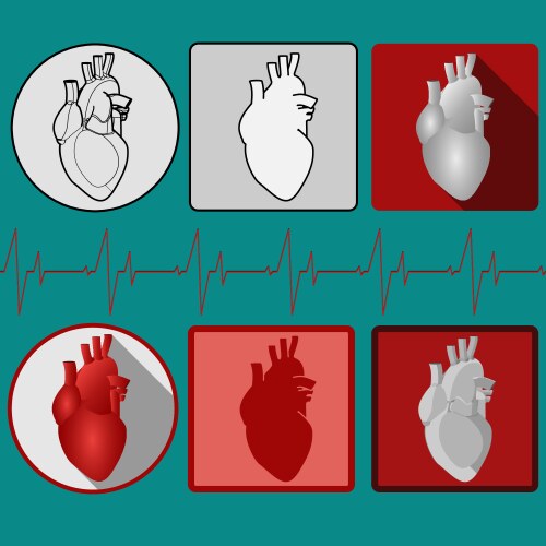 Heart Muscles Vector Images (over 14,000)