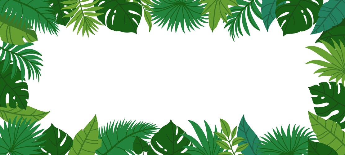 Jungle Border Png