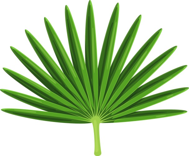 Palm Leaf Vector Images (over 120,000)