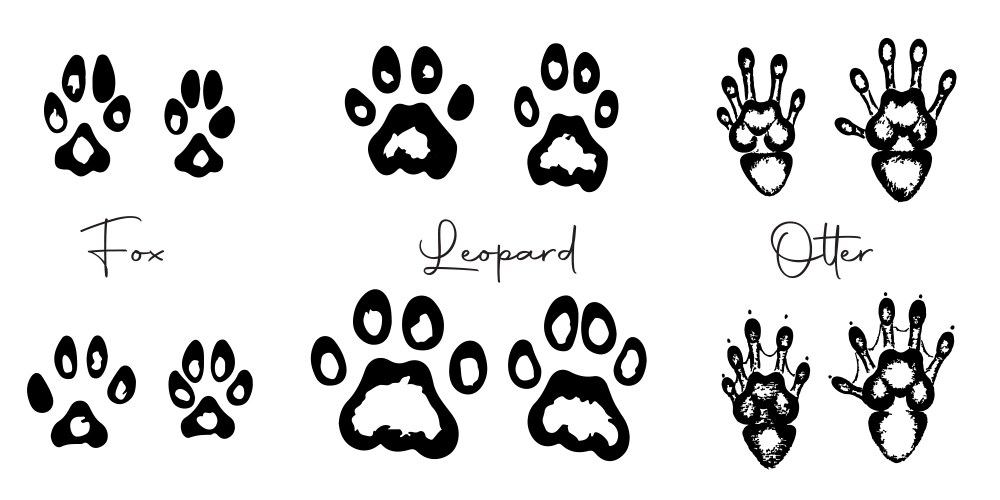 Leopard Footprint Vector Images (over 660)