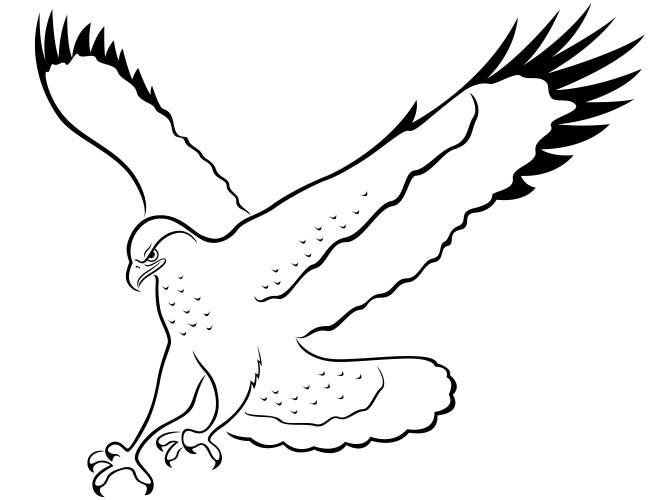 Hawk Outline Vector Images (over 5,700)