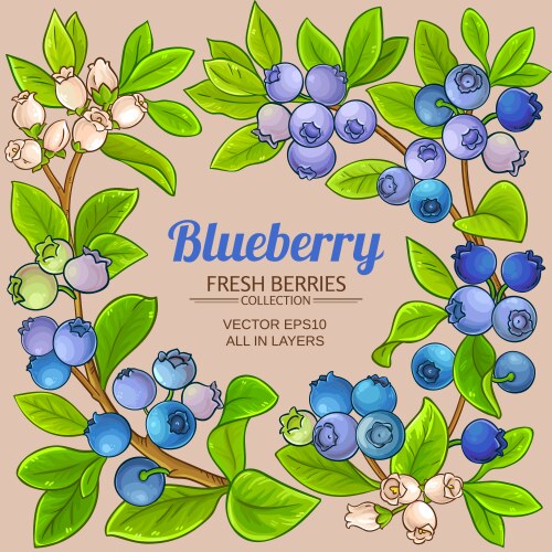 Blueberry Vector Images (over 30,000)