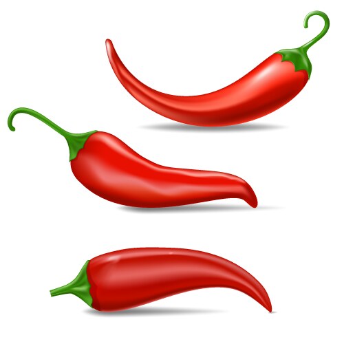 Red hot chili peppers Royalty Free Vector Image