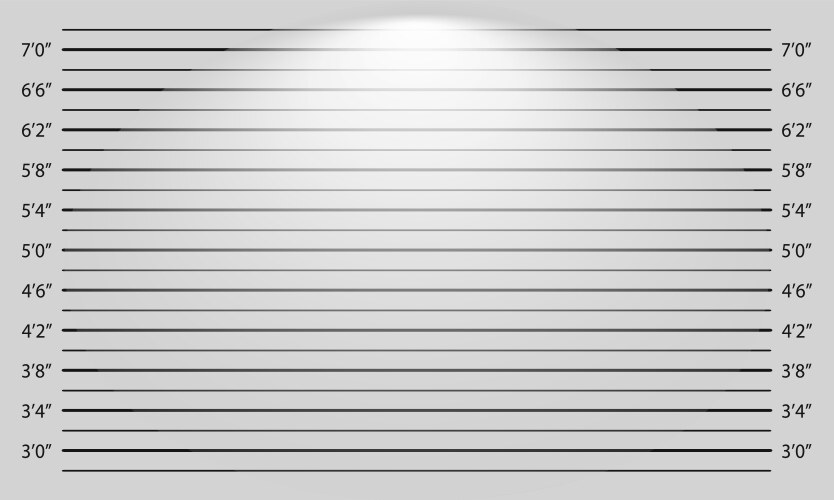 Police lineup mugshot background shot up photo Vector Image