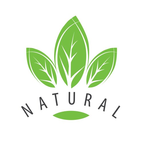 Tree leaf logo template Royalty Free Vector Image