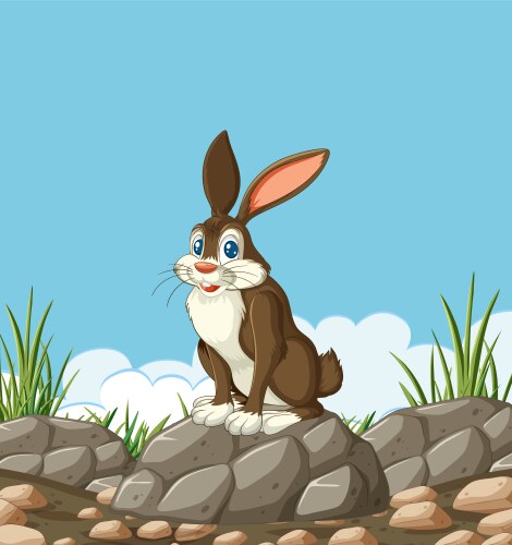 Rabbit Sitting Vector Images (over 7,000)