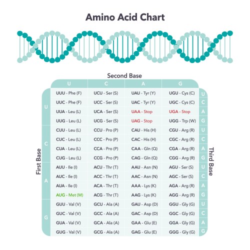 Proline Vector Images (over 310)