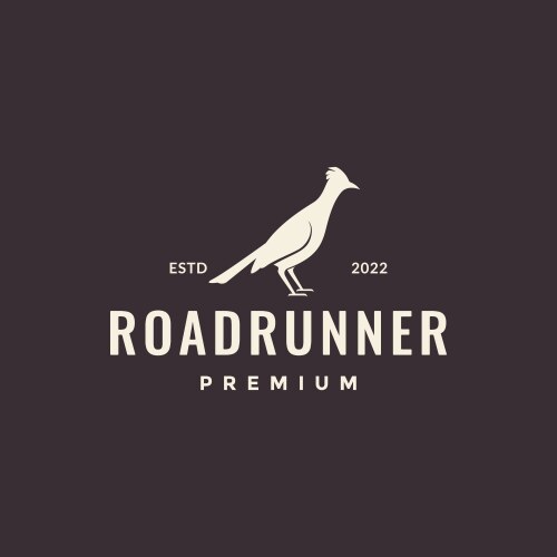Cartoon roadrunner bird running on road Royalty Free Vector
