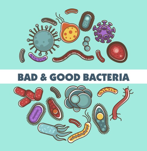 Cartoon microbes and bacteria Royalty Free Vector Image