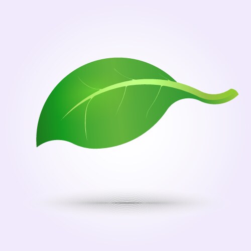 Leaf Vector Images (over 2.1 million)