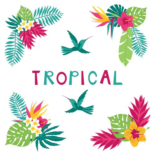 Tropical flower garland Royalty Free Vector Image