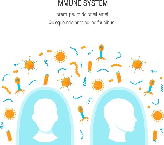Immune system concept Royalty Free Vector Image