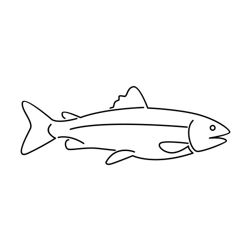 Salmon fish outline Royalty Free Vector Image - VectorStock