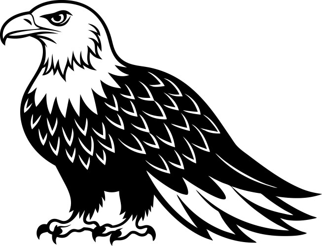 Bald eagle Royalty Free Vector Image - VectorStock