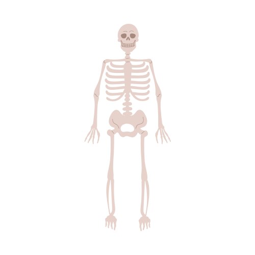 Dead Body Vector Images (over 15,000)