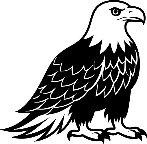 Bald eagle Royalty Free Vector Image - VectorStock