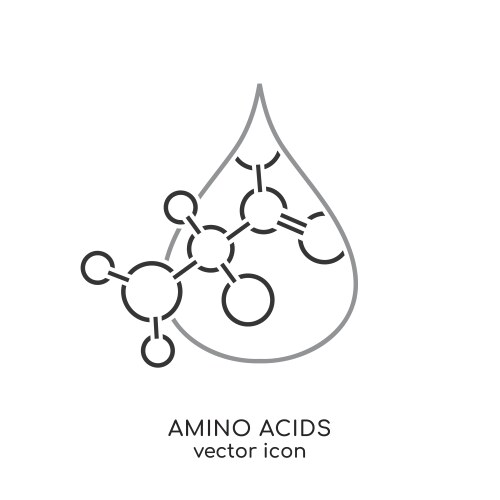 Biogenic amino acids Royalty Free Vector Image