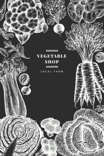 Farm vegetables chalk sketches on chalkboard Vector Image