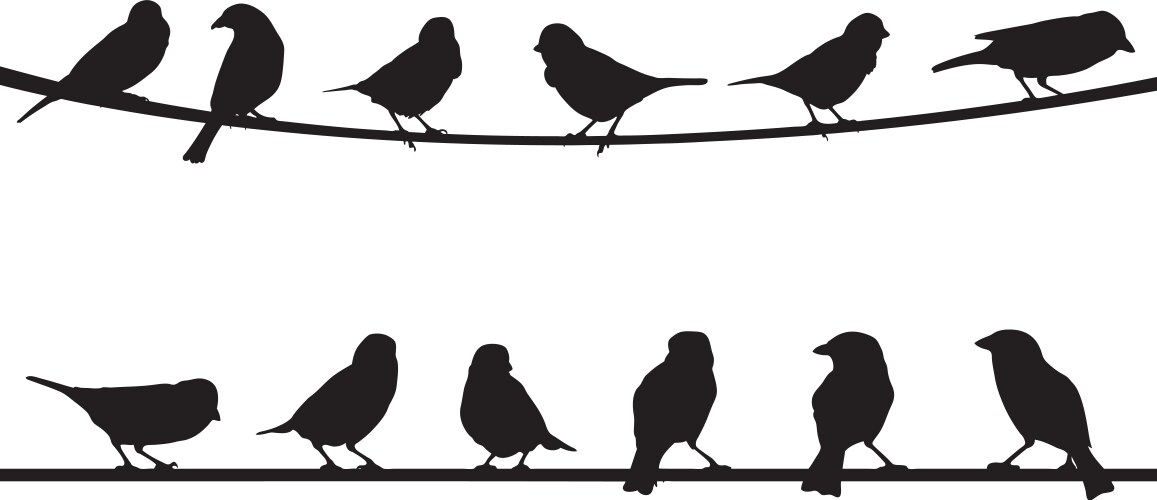 Birds Vector Images (over 630,000)