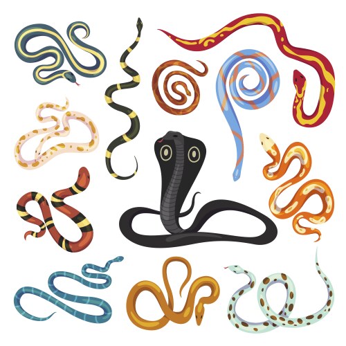 Four scary snakes Royalty Free Vector Image - VectorStock