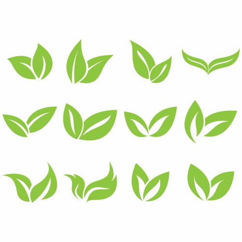 Collection of leaf logos Royalty Free Vector Image